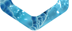 Sequent Scientific Limited