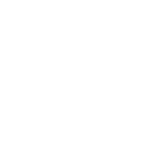 Businesses - SeQuent