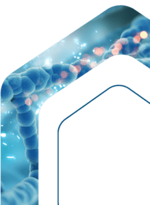 Sequent Scientific Limited