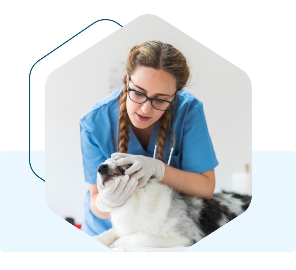 Sequent Scientific Limited